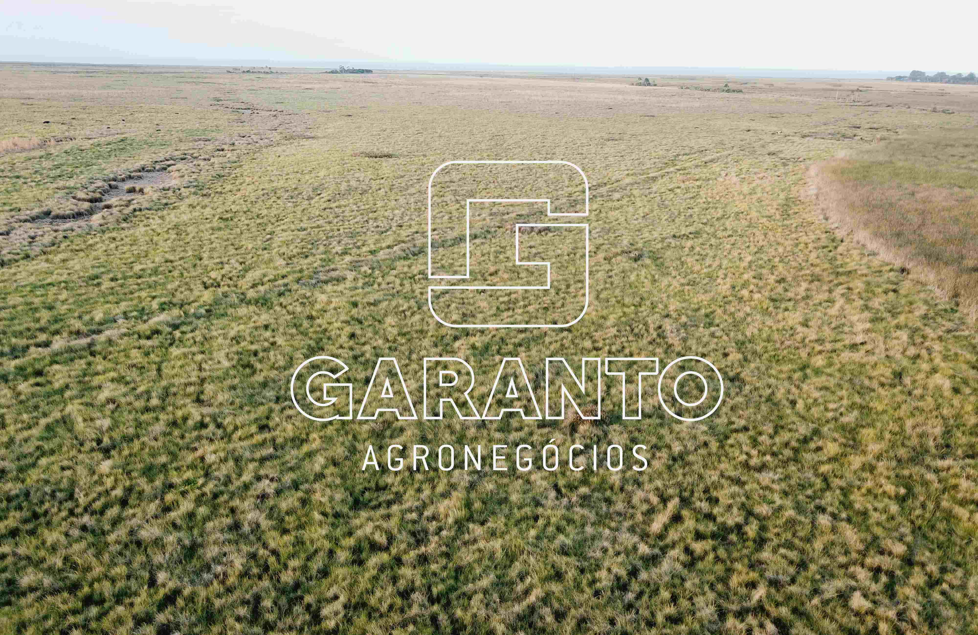 Garanto