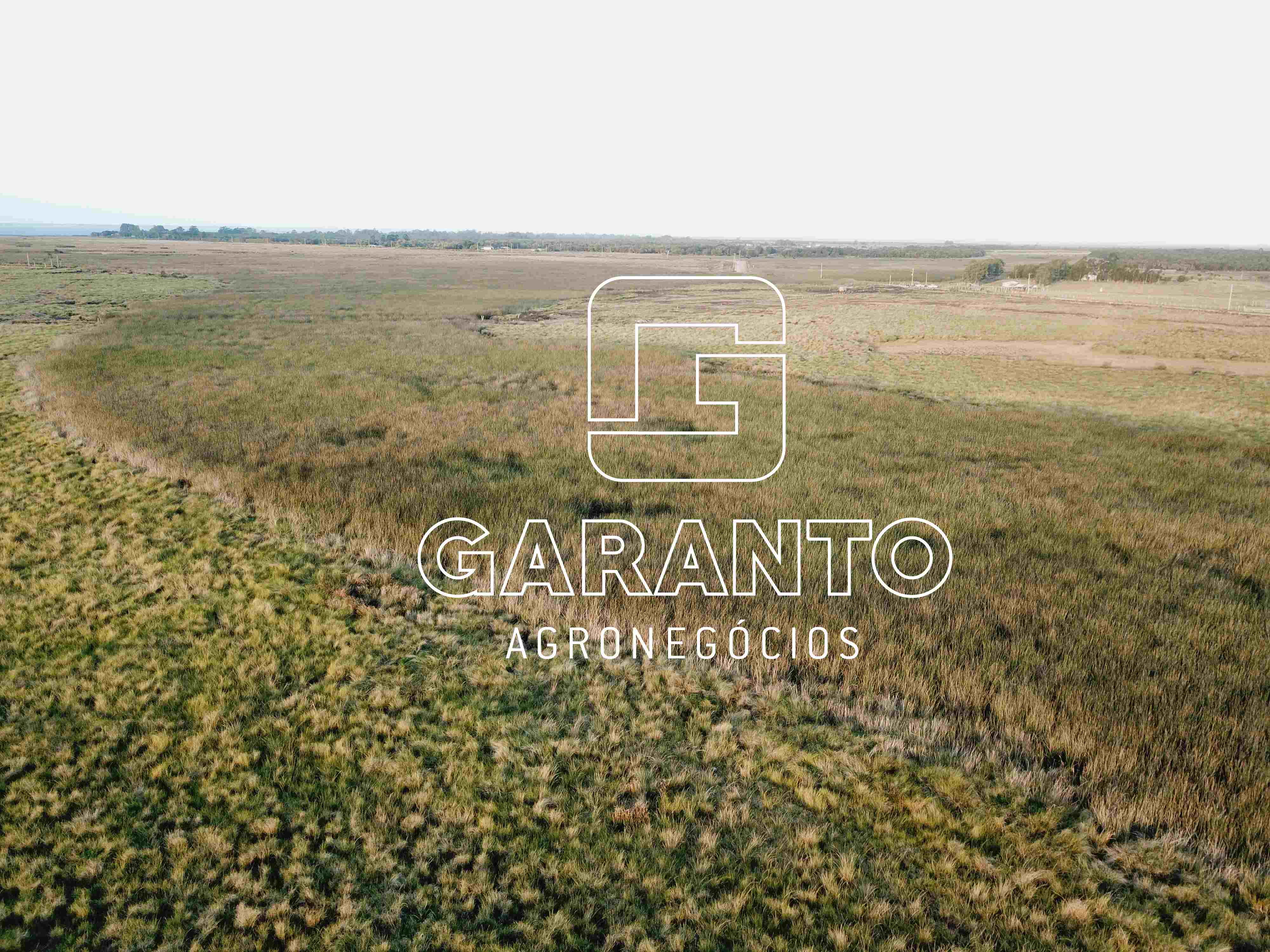 Garanto