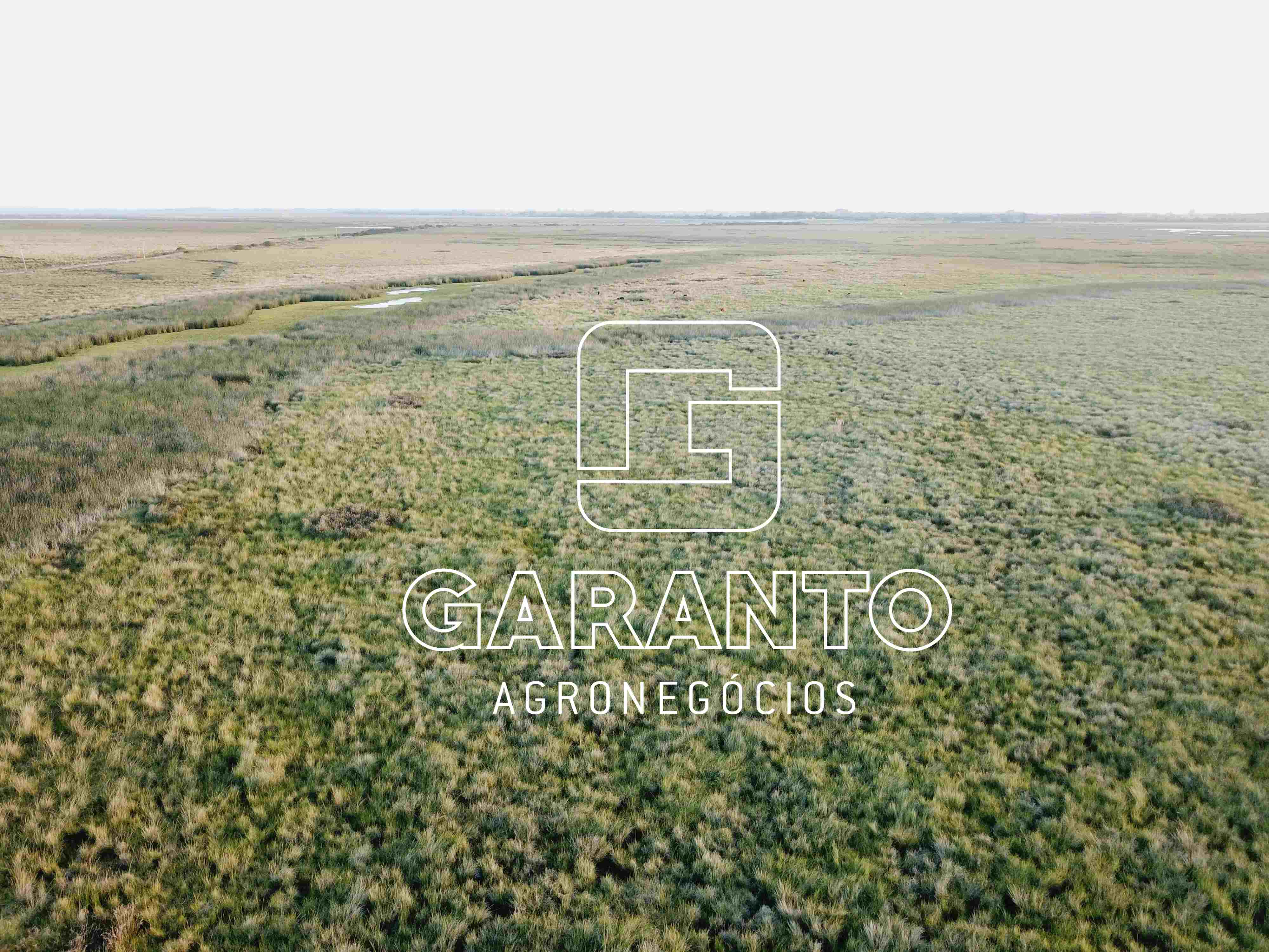 Garanto