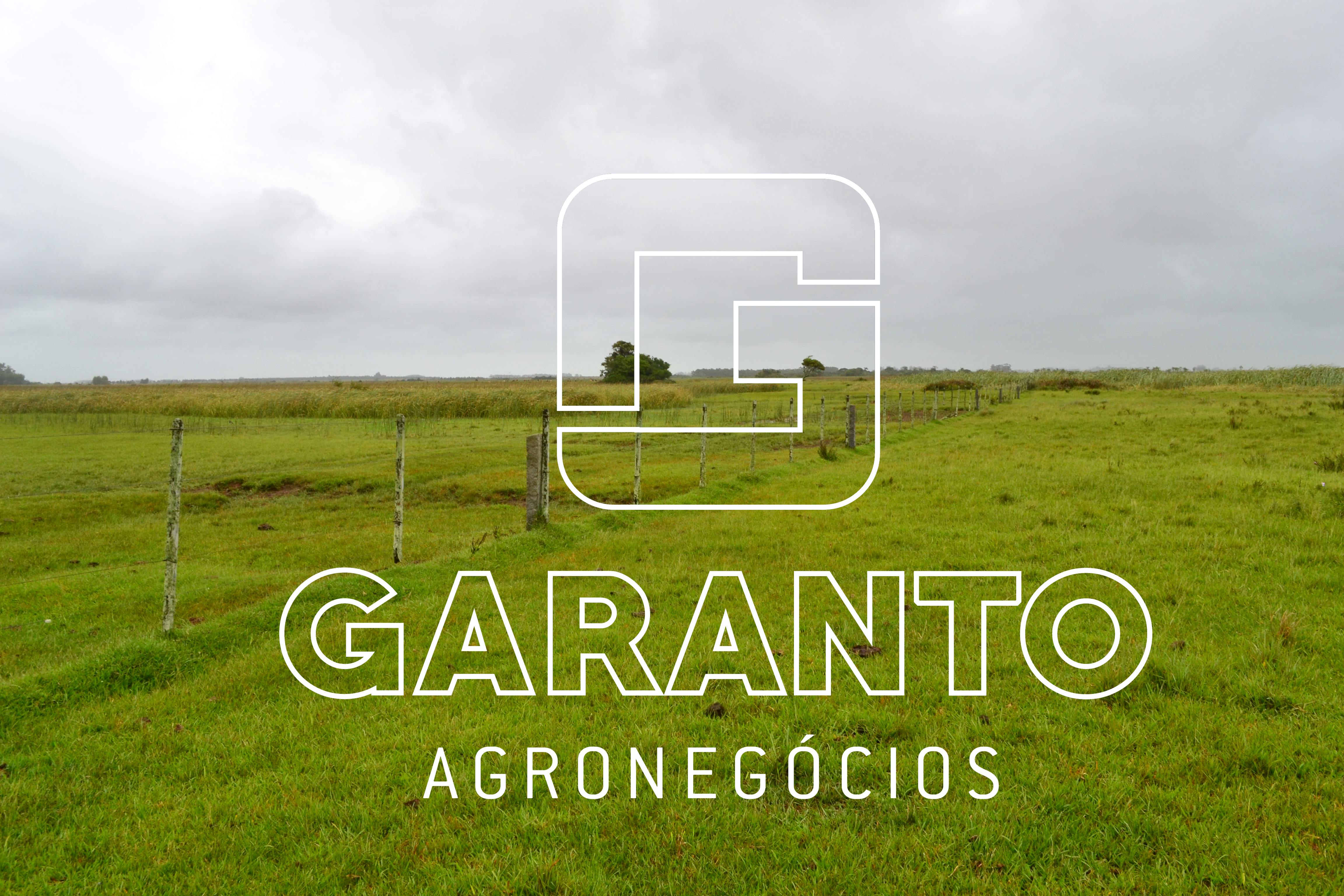 Garanto